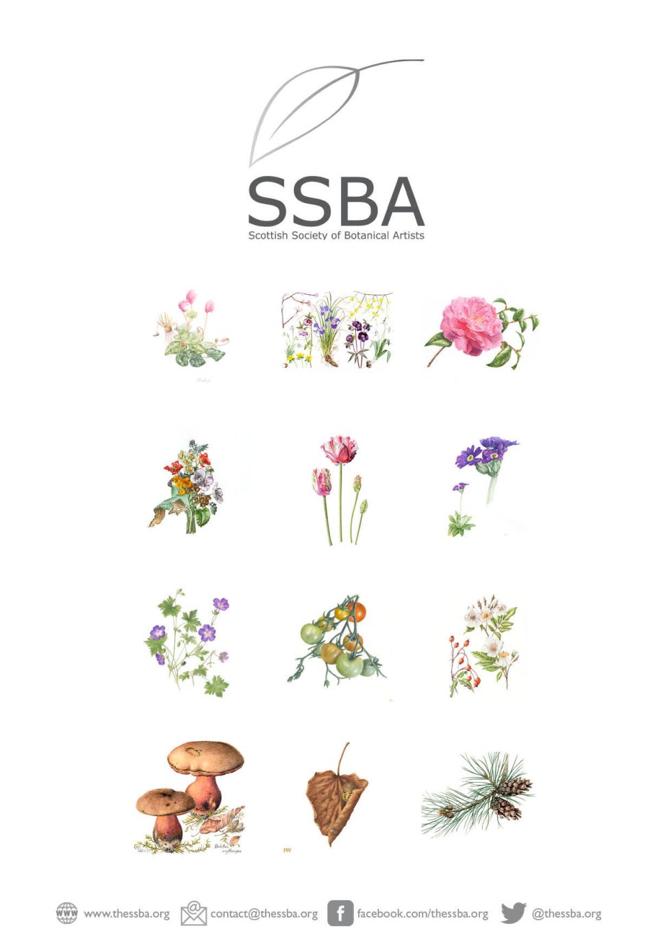 2023 SSBA calendar | Scottish Society of Botanical Artists